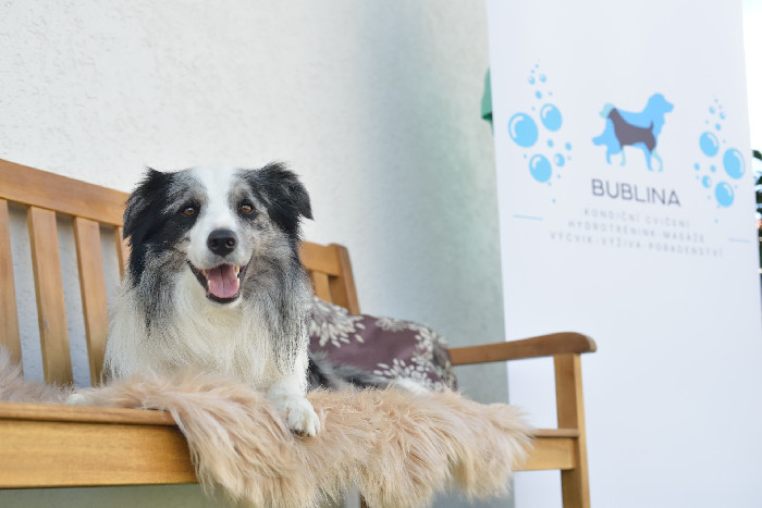 Bublina-fyzio